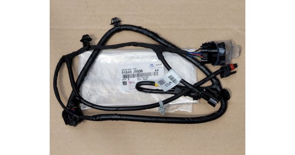 Kona - Wiring Assy-FEM [91840J9530]