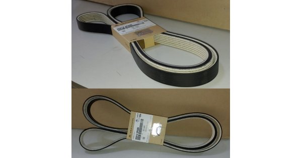 Carnival - Ribbed Belt-V [252122F020]