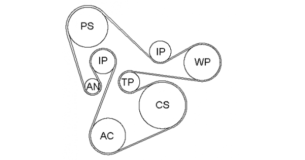Carnival - Ribbed Belt-V [252122F020]
