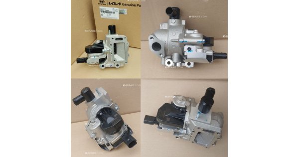 Hyundai / Kia - Valve Assy-EGR [284102A600]