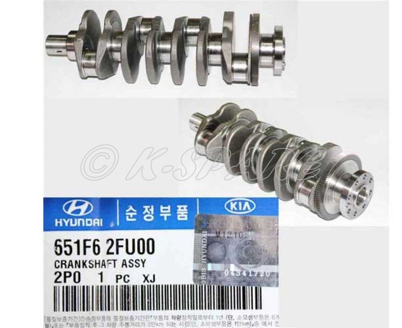 Hyundai / Kia - Crankshaft Assy [231102F110]